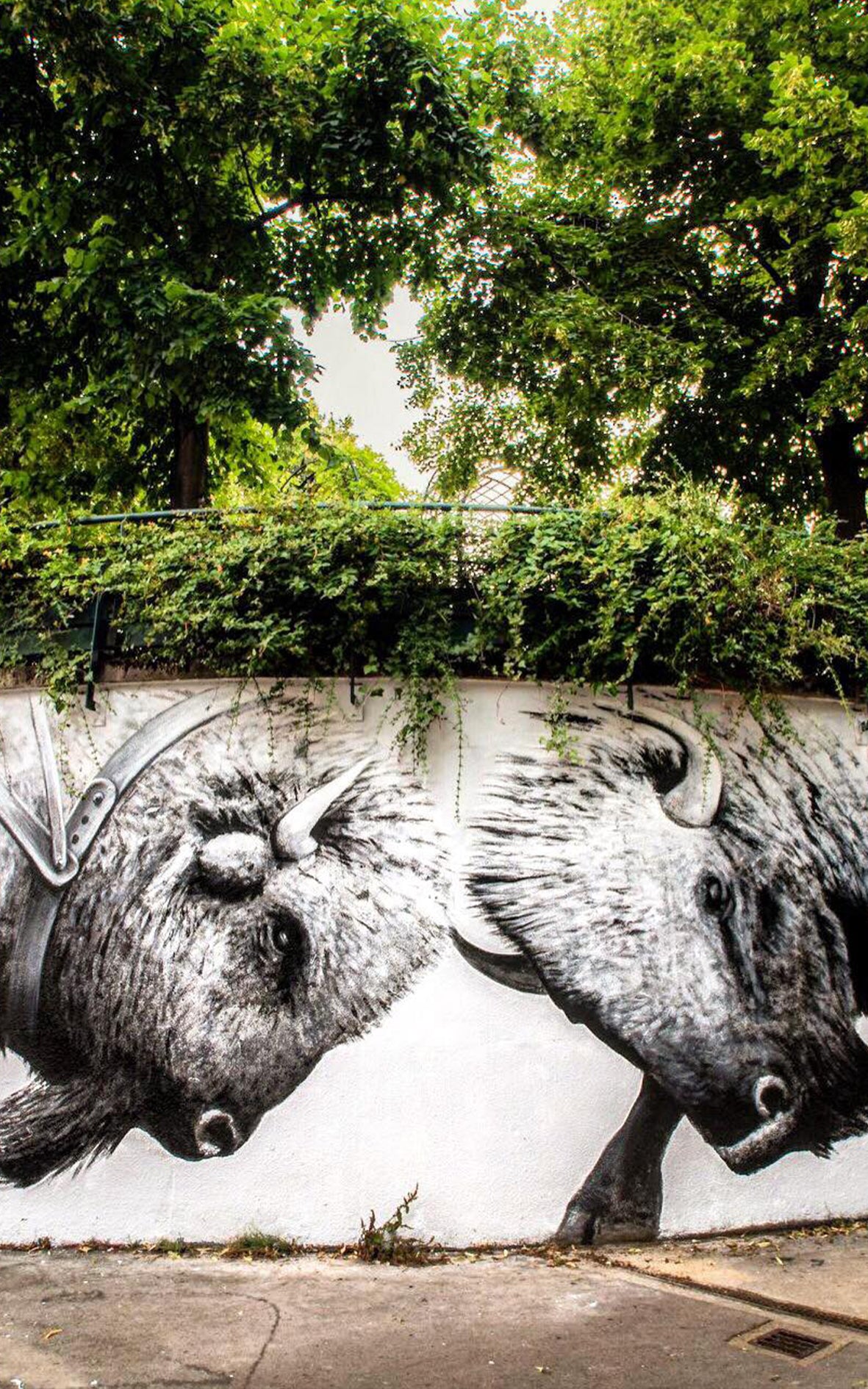 RUBEN CARRASCO – GraffitiPrints